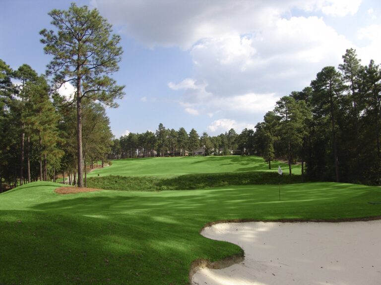 Pinewild Holly Course Golf Vacation Packages & Trips
