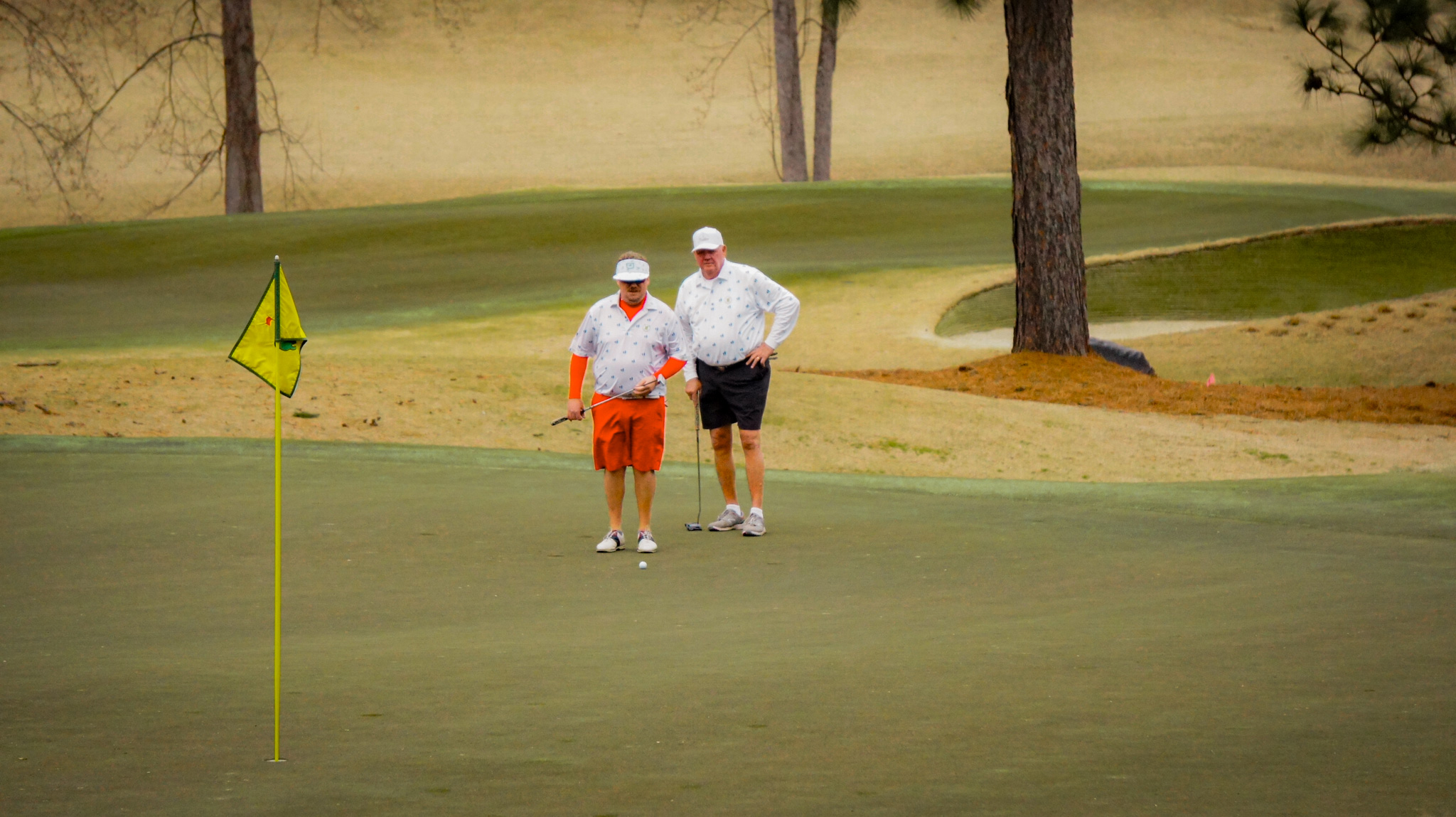 Llamapalooza Father Son - Talamore Golf Resort