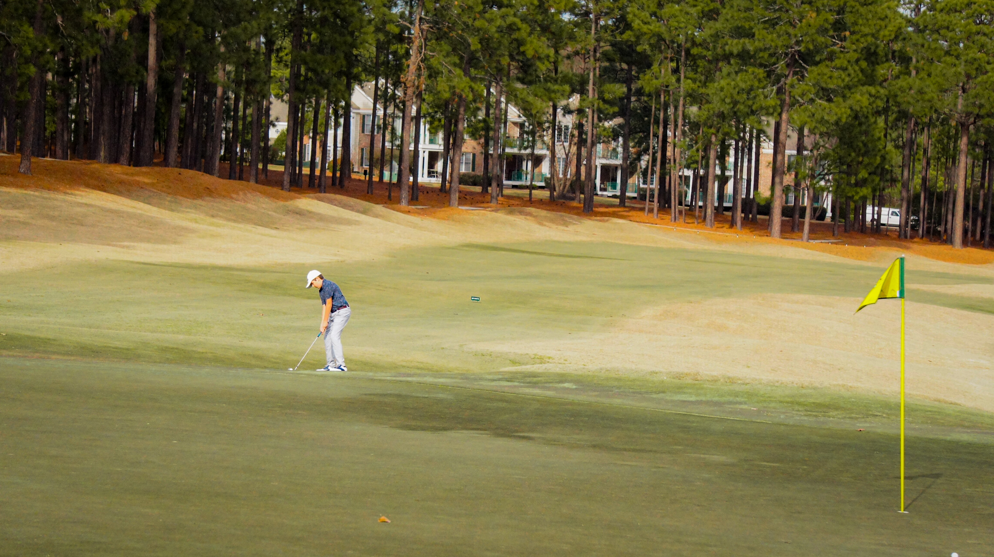 Llamapalooza Father Son - Talamore Golf Resort