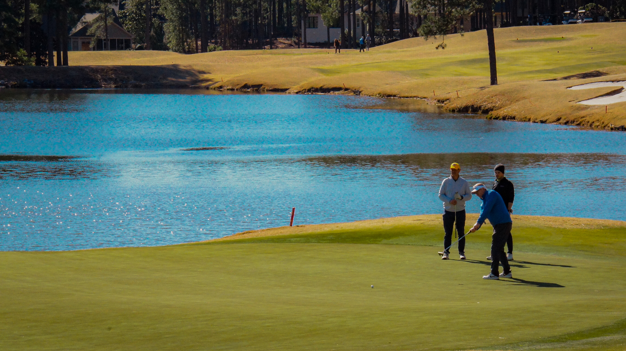 Llamapalooza Father Son - Talamore Golf Resort