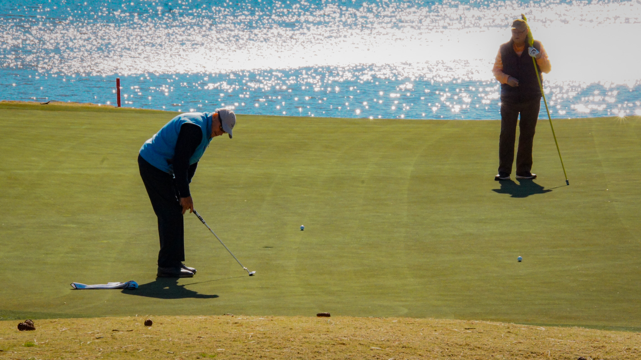 Llamapalooza Father Son - Talamore Golf Resort