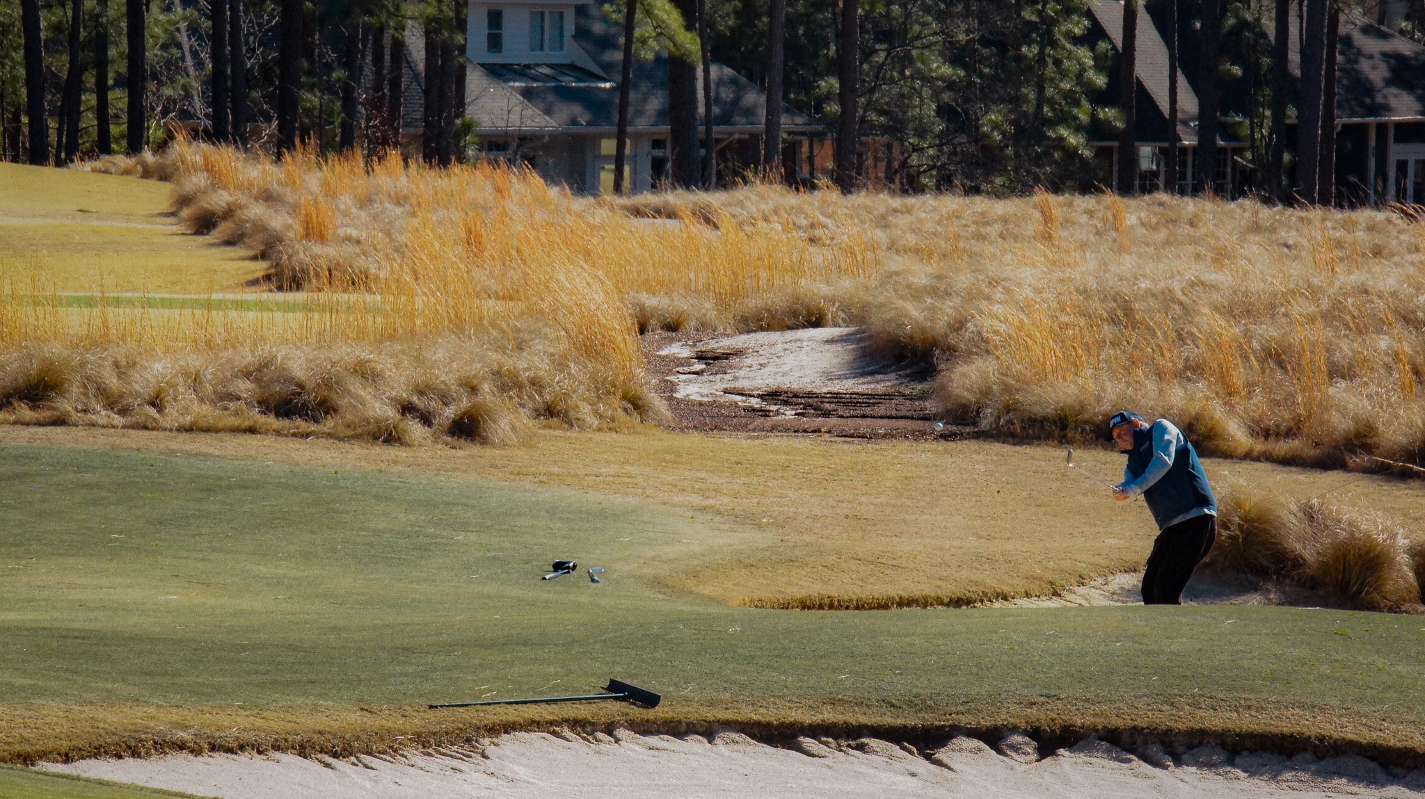 Llamapalooza Father Son - Talamore Golf Resort