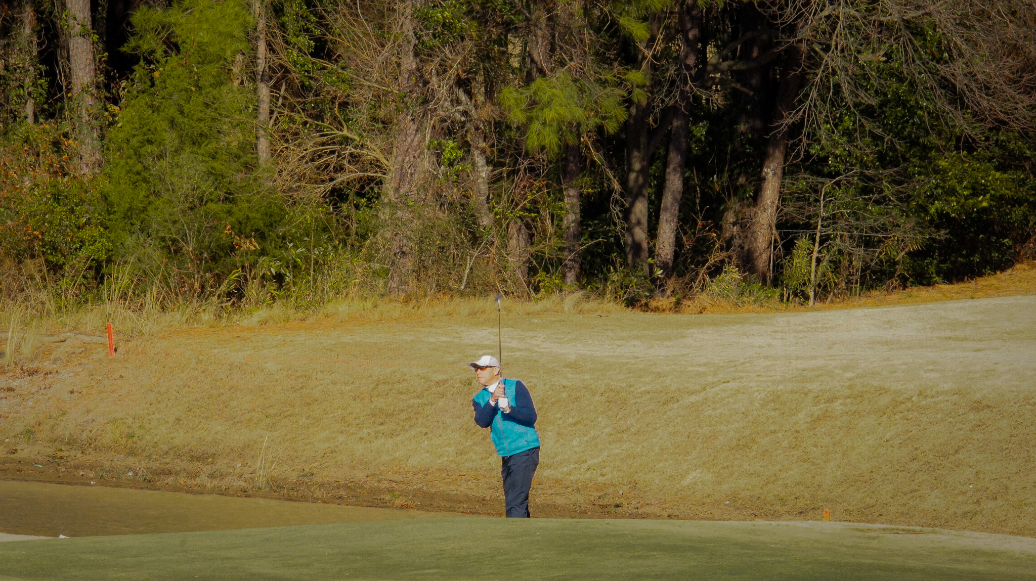 Llamapalooza Father Son - Talamore Golf Resort