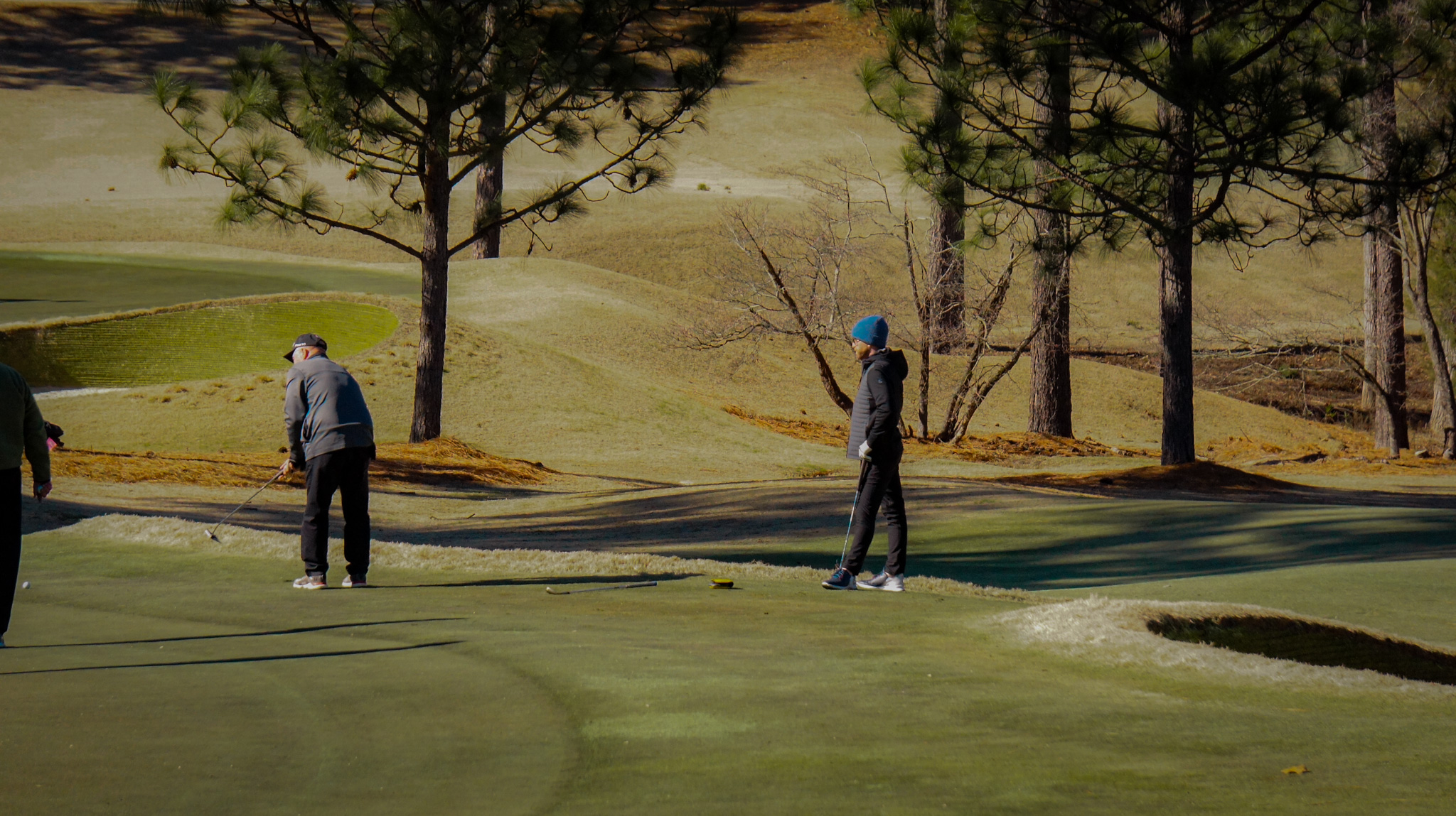 Llamapalooza Father Son - Talamore Golf Resort