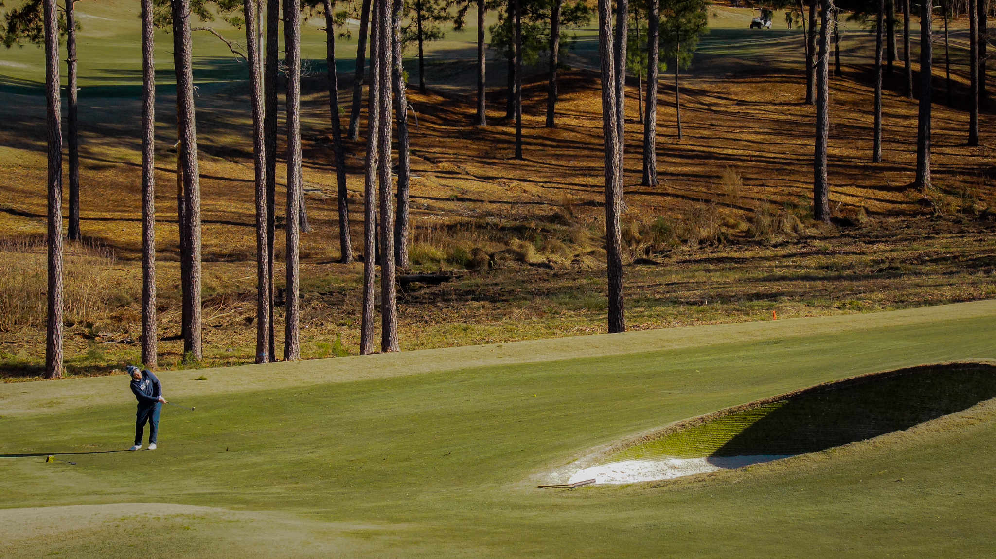 Llamapalooza Father Son - Talamore Golf Resort