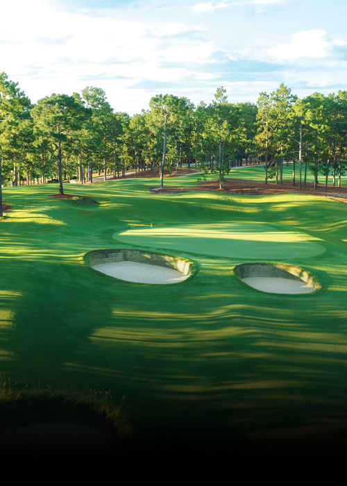 Home - Talamore Golf Resort